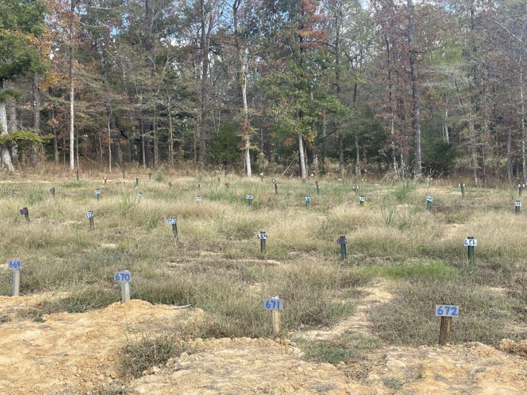 ‘Why a pauper’s field burial?’ Families wrestle with the deaths of ...