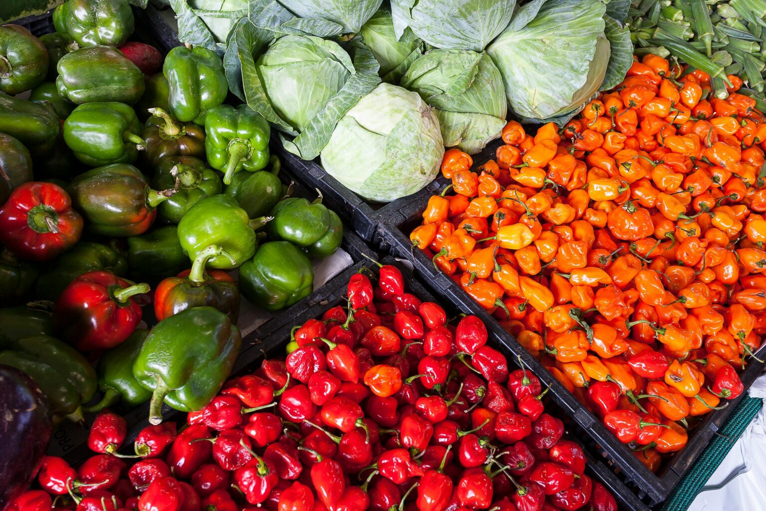 Texas AG targets grocery stores over spraying ‘undisclosed’ pesticide ...